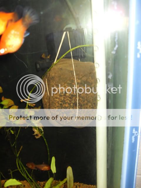 Best DIY Bio-media??? | The Planted Tank Forum